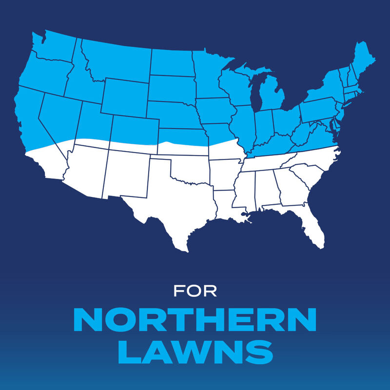 Scotts Grass Seed Drought Tolerant Mix | Scotts