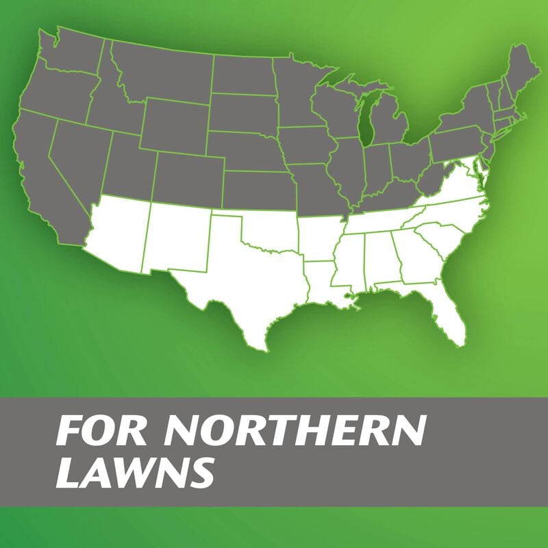 Scotts Turf Builder Grass Seed Contractors Mix Scotts