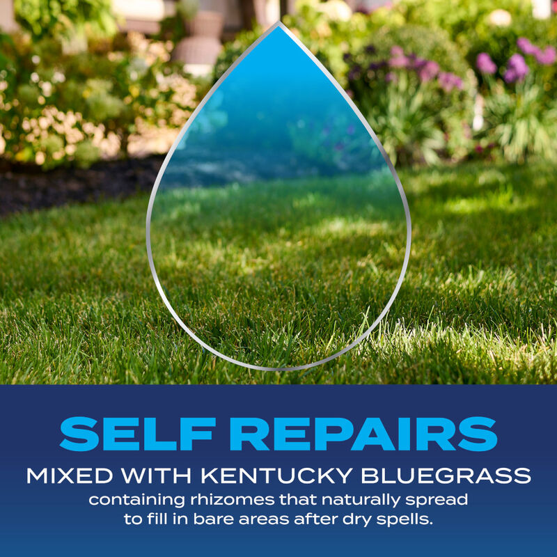 Scotts Grass Seed Drought Tolerant Mix | Scotts