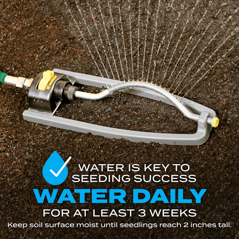 Scotts Grass Seed Drought Tolerant Mix | Scotts