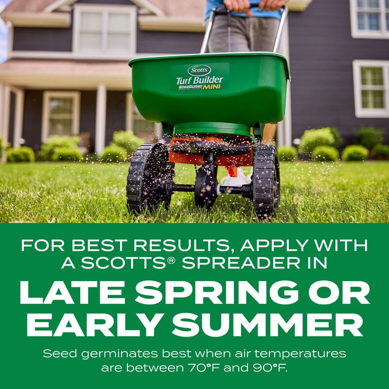Scotts Turf Builder Thick'R Lawn Bermudagrass | Scotts Scotts Turf Builder Thick'R Lawn Bermudagrass | Scotts