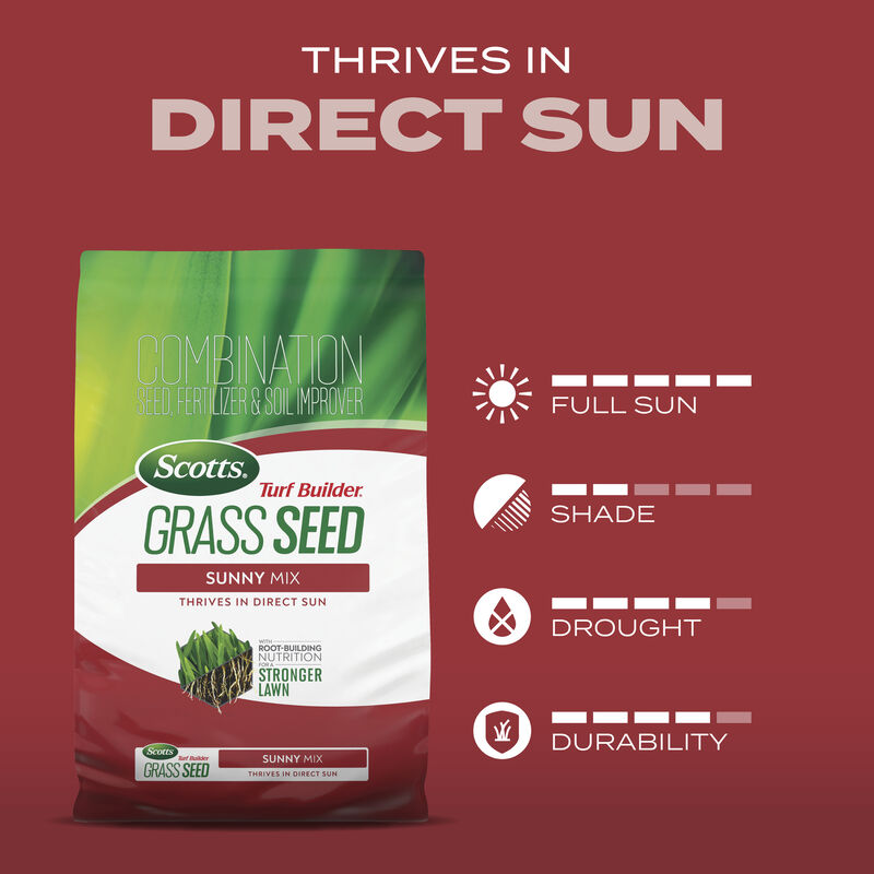 Scotts Turf Builder Grass Seed Sunny Mix | Scotts