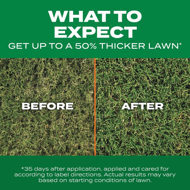 Scotts Turf Builder Thick'R Lawn Bermudagrass | Scotts Scotts Turf Builder Thick'R Lawn Bermudagrass | Scotts