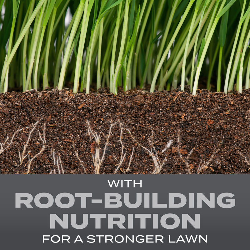 Scotts Turf Builder Grass Seed Northeast Mix Scotts