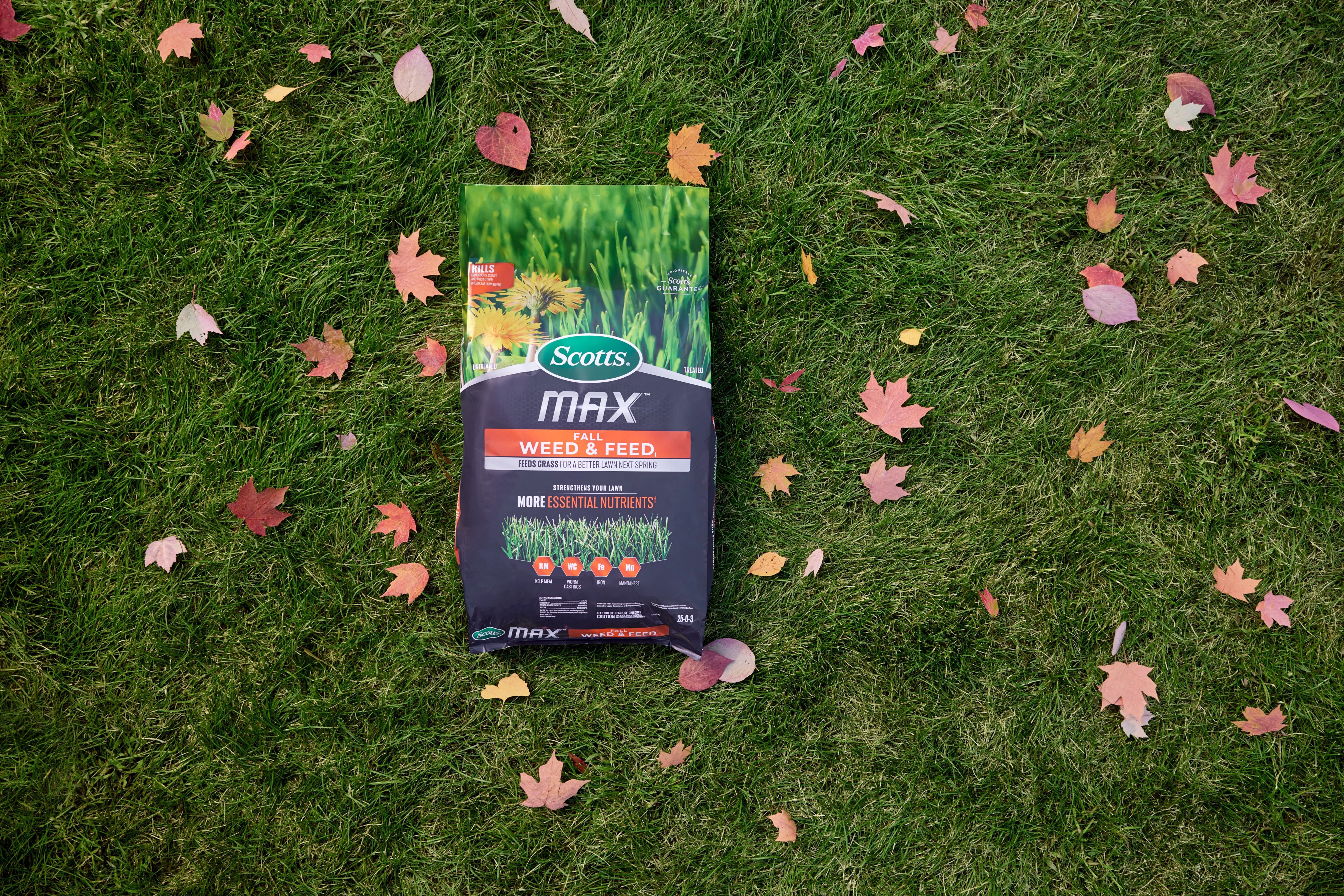 Scotts MAX Fall Weed FeedI Scotts