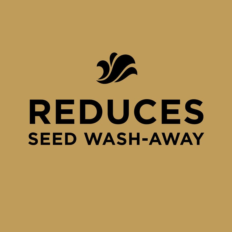 Scotts EZ Seed Patch & Repair Tall Fescue Lawns | Scotts Scotts EZ Seed Patch & Repair Tall Fescue Lawns | Scotts