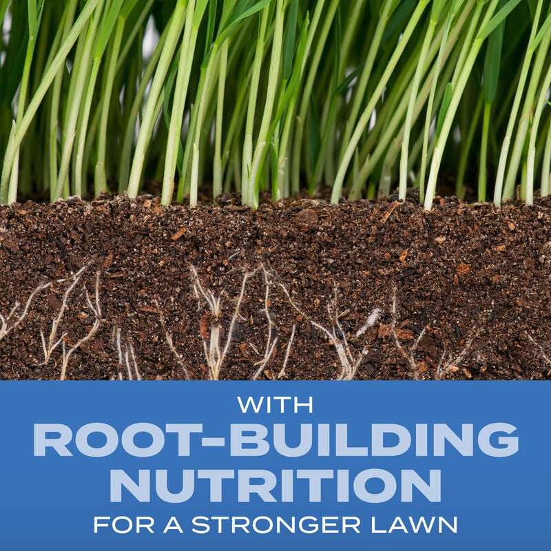 Scotts Turf Builder Grass Seed Sun And Shade Mix Scotts