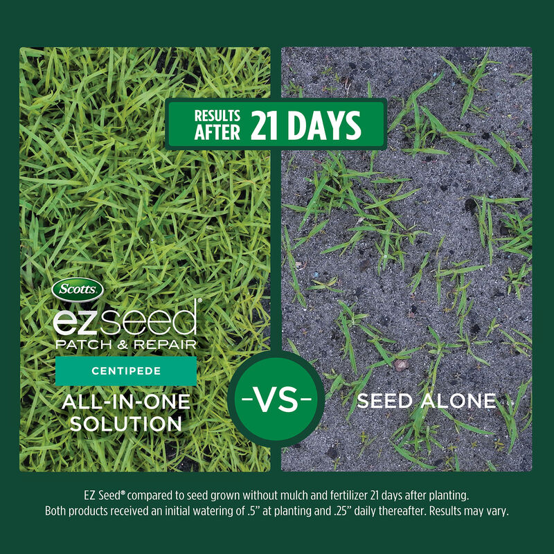 Scotts EZ Seed Patch & Repair Centipede Grass | Scotts